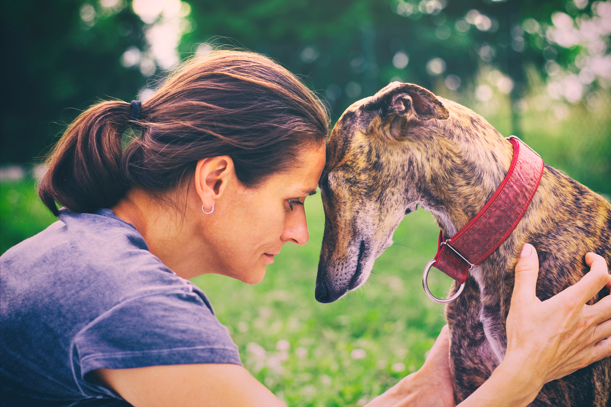 5 Unexpected Reasons Why Dogs Don’t Like Certain People - Hot Dog on a ...