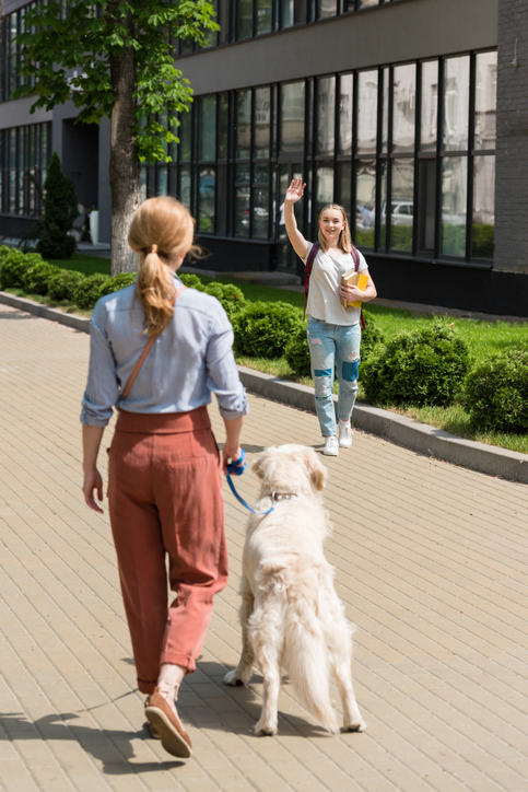 Stranger Danger’: Reduce Your Dog’s Anxiety When Meeting People - Hot ...